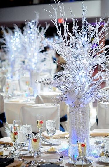 snow theme dinner | NZSIA | New Zealand Snowsports Instructors Alliance